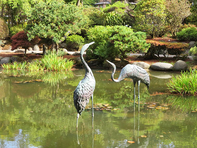 The Japanese garden's crane statues stand sentinel over lily pads, creating a zen moment that even your meditation app can't replicate. 