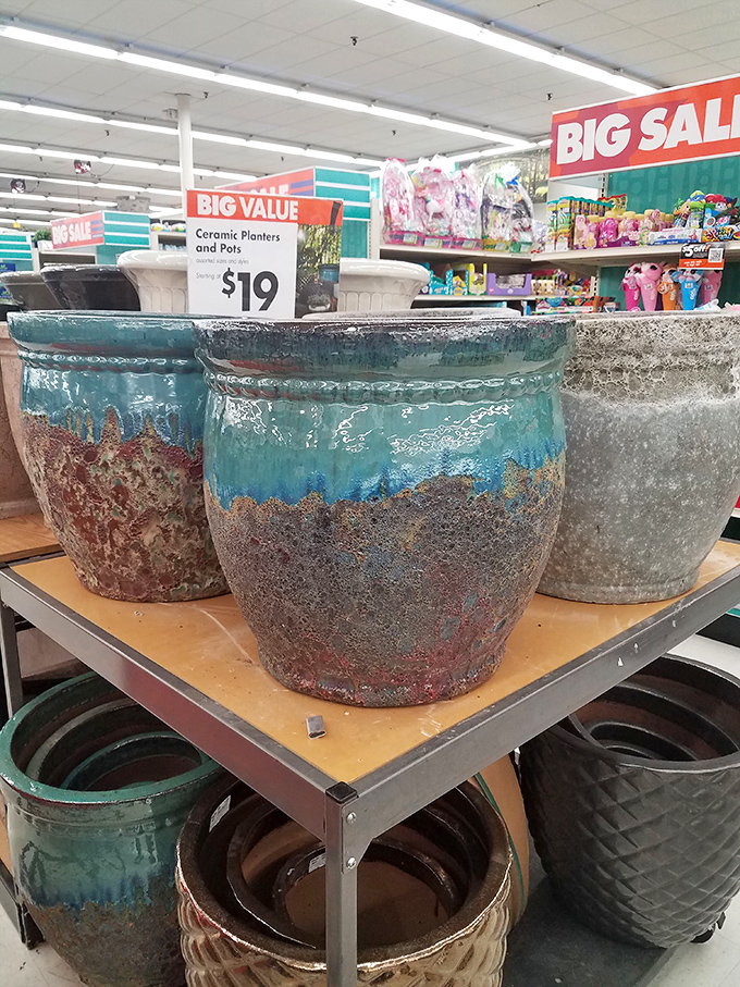 Garden pots with personality that silently judge your plant-killing history while still offering a second chance at horticultural redemption.