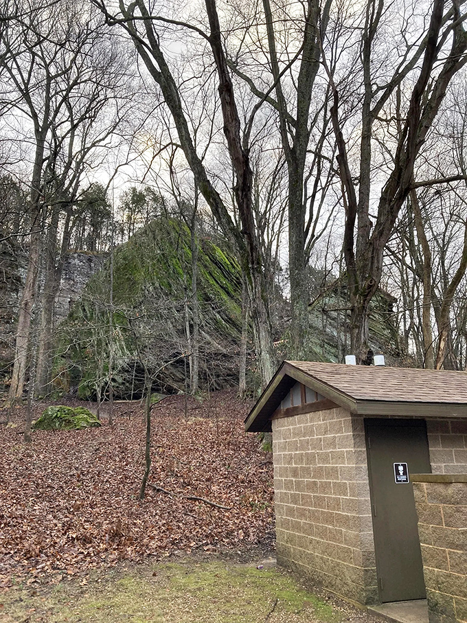 Even the facilities blend into the landscape, standing sentinel near moss-covered bluffs that whisper secrets of prehistoric oceans.