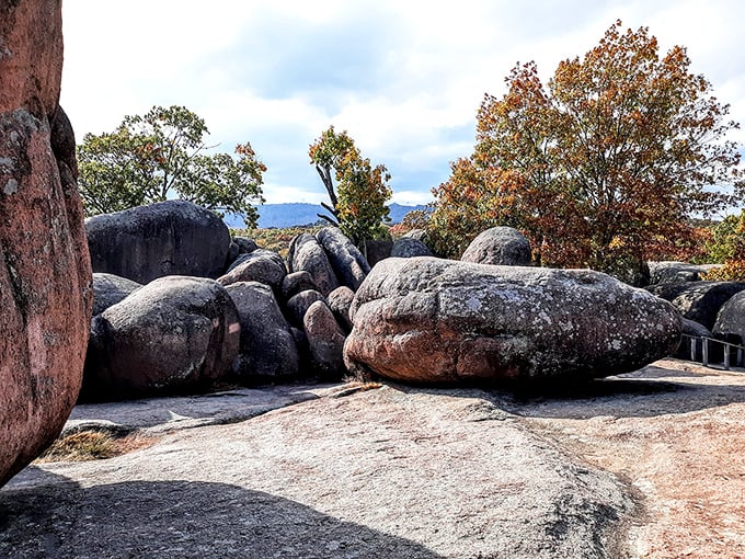 The parade of stone pachyderms marches eternally across their rocky stage, a performance 1.5 billion years in the making.