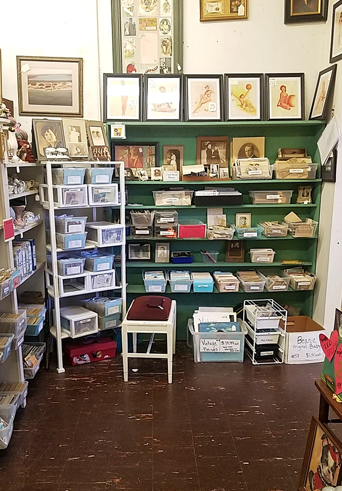 Each organized shelf tells a different story&mdash;like chapters in a book about American life that you can take home piece by piece.