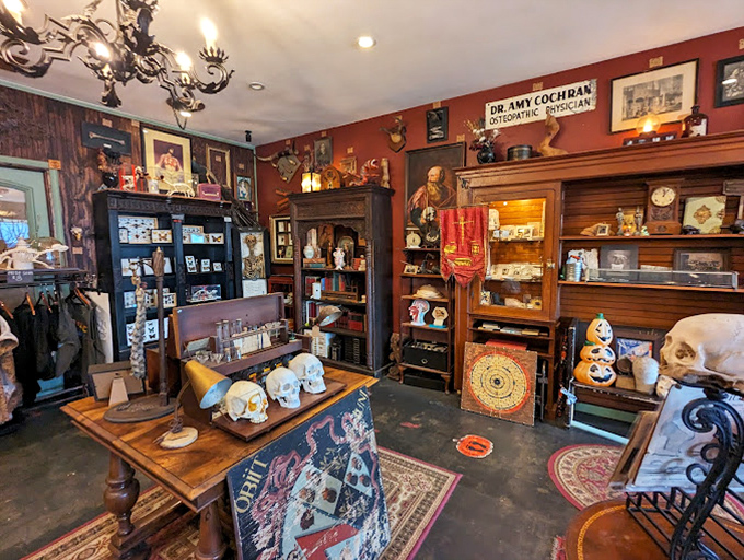 An entire dental school history lesson displayed with unexpected artistry. Those chompers have seen more history than most history books! 