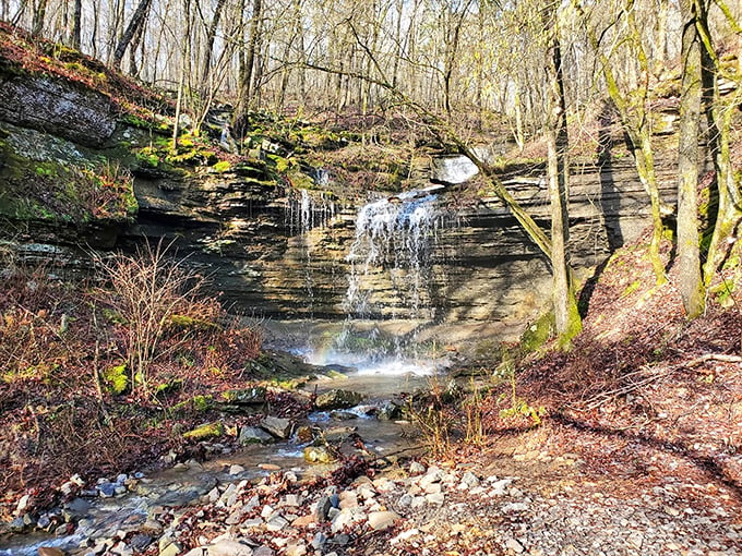 Nature's alternative to anxiety medication. This hidden waterfall creates the kind of white noise that even expensive sound machines can't replicate.