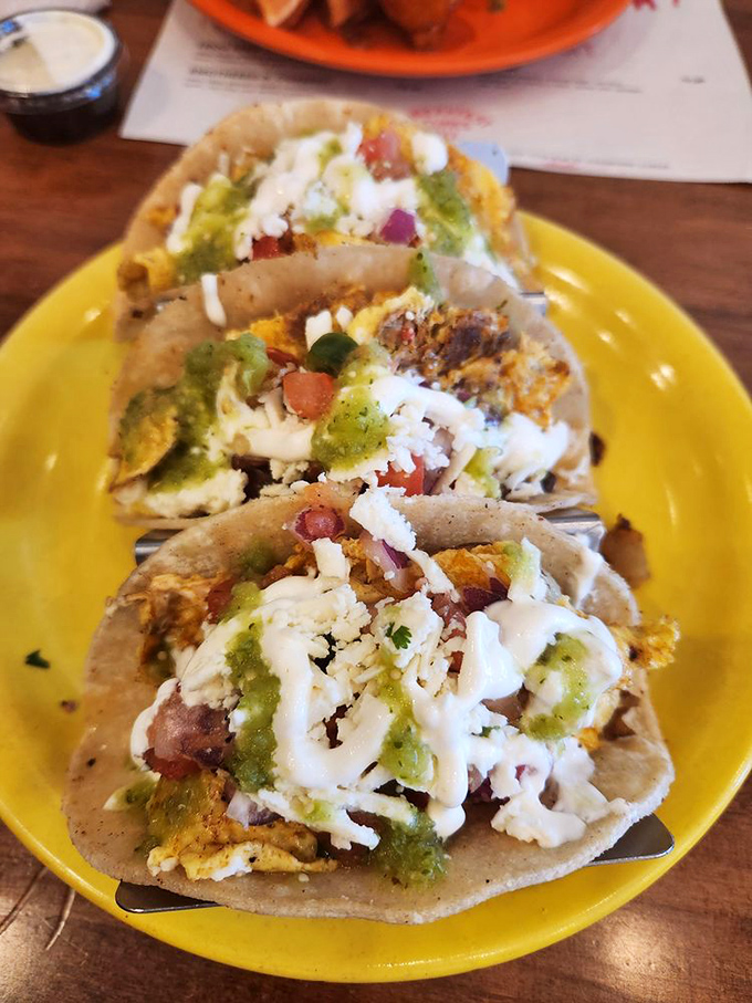 Breakfast tacos that make you question why we don't start every day this way. Colorful, vibrant, and ready to kickstart your morning with a gentle kick.