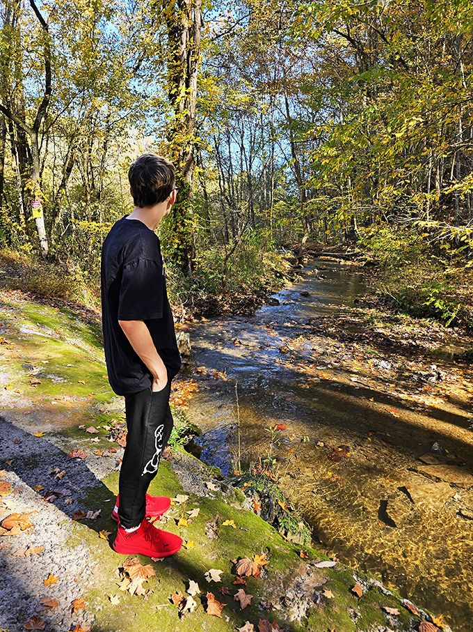 Standing at the threshold between ordinary and extraordinary, visitors face their fears before stepping into Kingsport's most infamous landmark.
