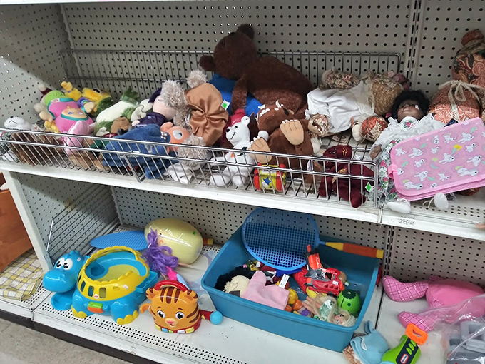 The toy section: where childhood memories are recycled and reborn. That blue turtle looks like he's seen things no turtle should ever see. 