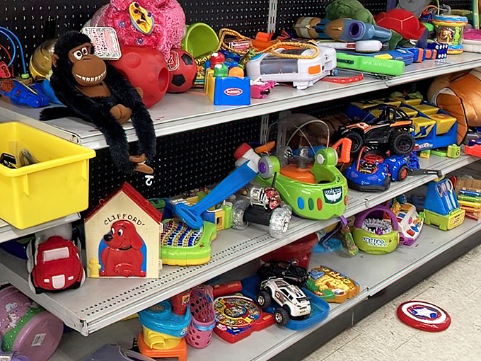 Yesterday's playthings waiting for tomorrow's adventures. That monkey looks like he's seen some stories worth telling.