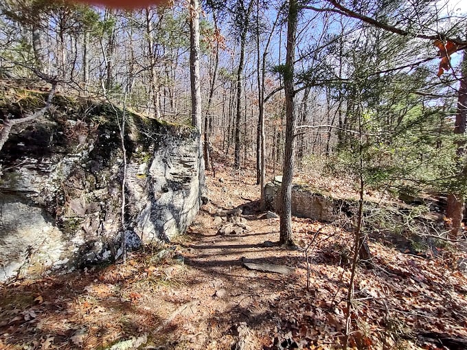 The trail reveals itself through winter's bare forest, where every footstep crunches with possibility and adventure waits around each bend.