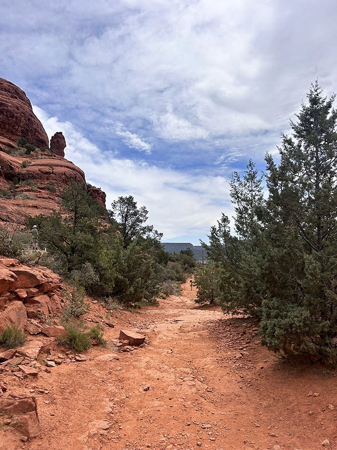 The path less photographed but equally magnificent. Juniper trees stand guard like nature's ma&icirc;tre d's welcoming you to the show.