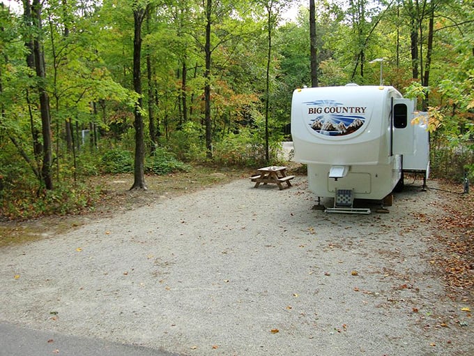 When "roughing it" means bringing your living room to the woods. This spacious campsite proves adventure doesn't always require sacrifice.