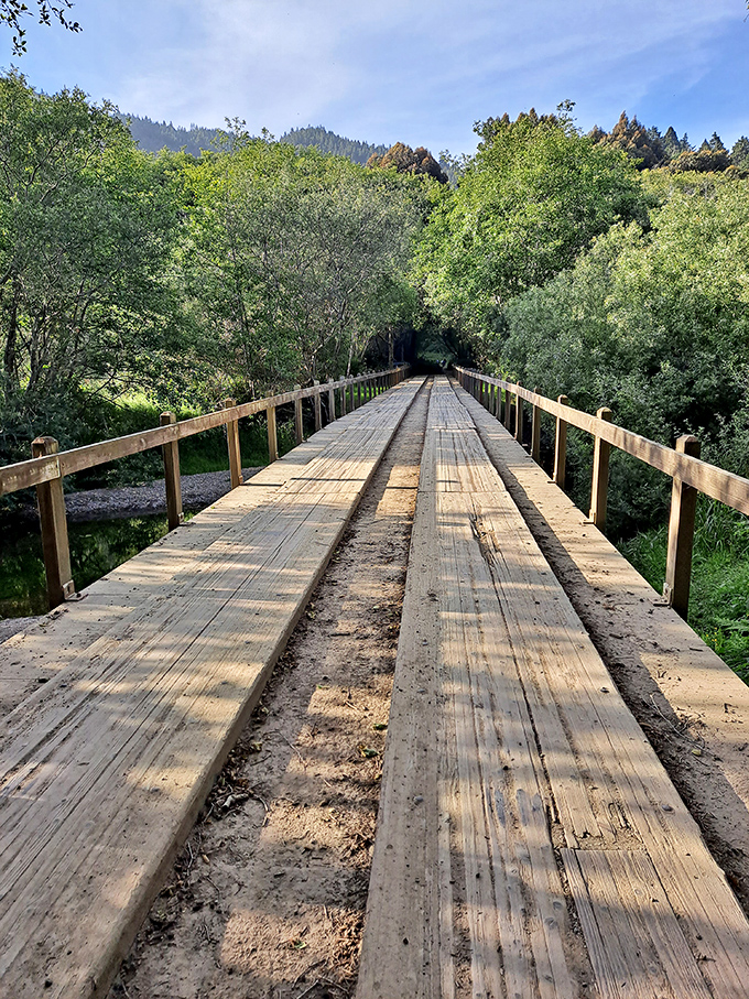 This wooden bridge seems to whisper, "Cross me and find something wonderful." The perfect metaphor for every good decision you've ever made.
