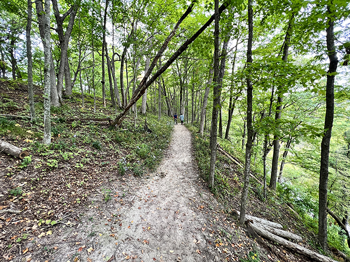 Fifty shades of green! Backbone's lush forest trails offer a cool escape when summer turns up the heat.