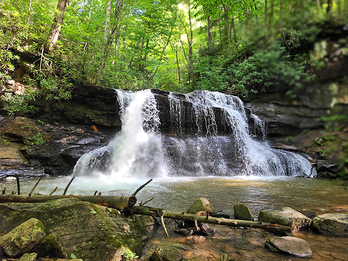 Holly River's hidden waterfall rewards hikers with a refreshing natural shower—no quarters required!
