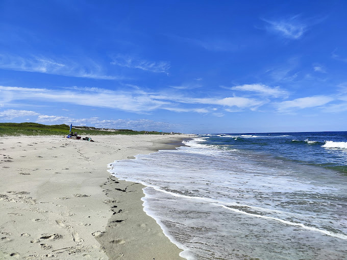 Island Beach State Park offers the Jersey Shore without the boardwalk—just you, endless sand, and waves that have been singing the same tune for millennia.