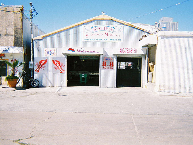 7a. katie's seafood market (galveston)