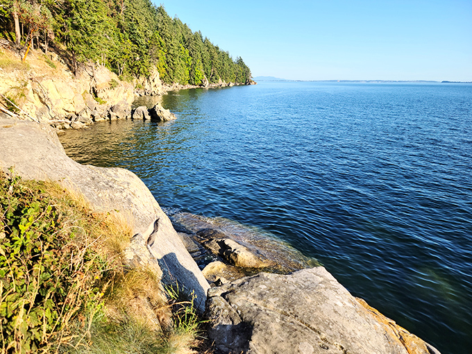 Where mountains literally dive into the sea, creating rocky shorelines perfect for beachcombing and soul-soothing.