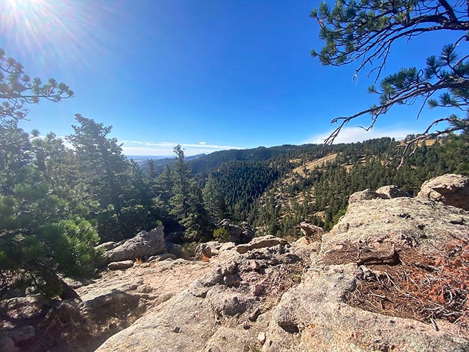 The view from Lory State Park makes you feel like you've discovered Colorado's secret balcony. Worth every huffing, puffing step.