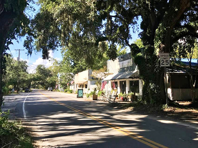 McClellanville's moss-draped oaks create natural tunnels that seem to whisper stories of the past.