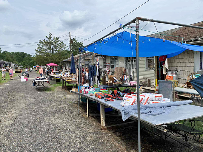 New Egypt's rustic charm comes with a side of tie-dye and peace signs &ndash; proving good vibes and good deals go hand in hand.