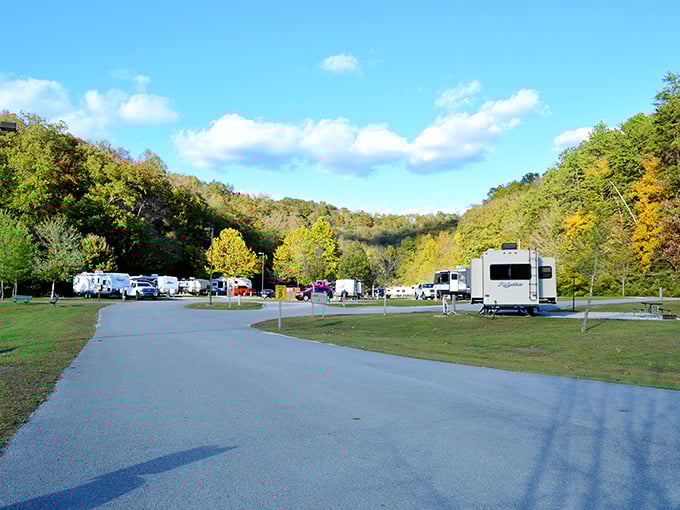 Beach day bliss without ocean prices! Paintsville Lake's sandy shores offer refreshment that no air conditioner can match. 