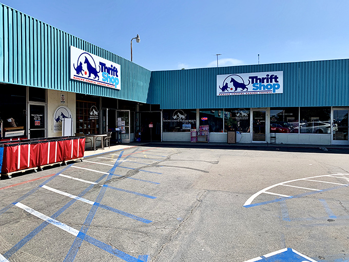 Sometimes, the rainbow really does lead to treasure&mdash;especially at Rancho Coastal Humane Society's charming thrift shop.