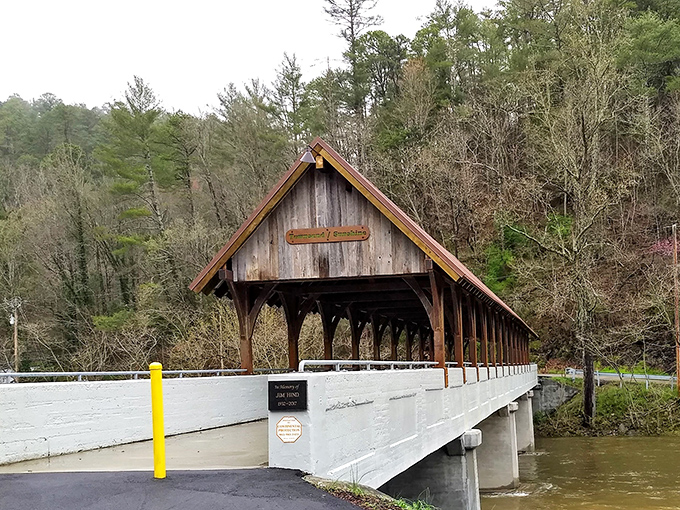 Townsend earns its "Peaceful Side of the Smokies" nickname with riverside charm that invites you to slow down and breathe deeper.