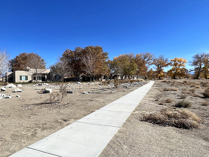Walker River's historic ranch buildings stand as stoic reminders of Nevada's ranching heritage. If these walls could talk, they'd have some stories!