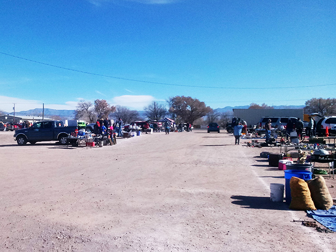 From toy trucks to treasured antiques, this market turns ordinary Saturdays into extraordinary adventures.