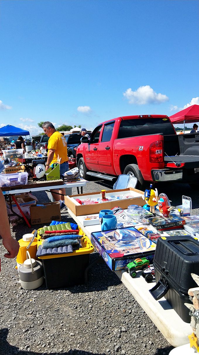 Treasure hunting in the wild. Blue skies and open-air shopping create the perfect backdrop for unexpected discoveries at Morgantown's favorite flea market.