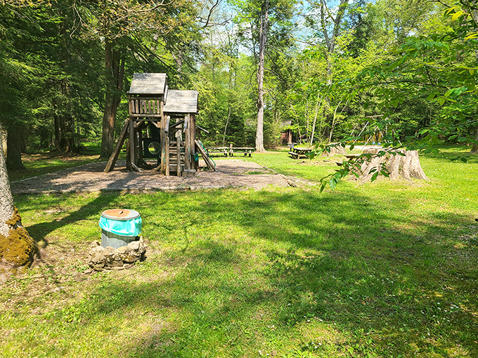 This playground at Cathedral State Park proves that kids don't need batteries or Wi-Fi for a good time!