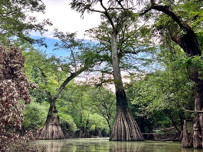 Where fishing meets family fun. This charming spot at Chemin-A-Haut turns ordinary afternoons into childhood highlights.