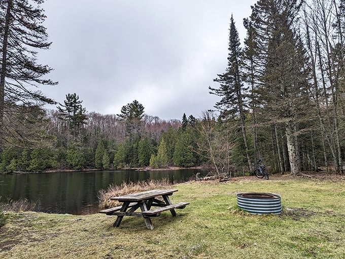 Reflections of serenity. Craig Lake's still waters mirror the surrounding forest in a perfect moment of Michigan wilderness peace.