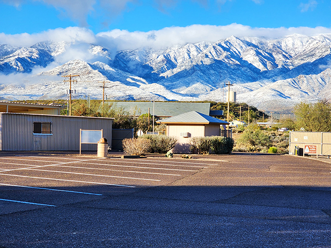 Snow-capped mountains provide a stunning backdrop to Dankworth's desert oasis &ndash; Arizona showing off its range.