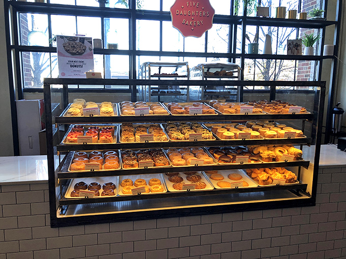 The impressive display case at Five Daughters showcases rows of colorful donuts like jewels in a bakery treasury.