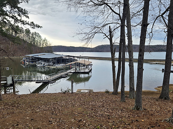 Lakeside bliss at J.P. Coleman State Park. That bench isn't just sitting there &ndash; it's inviting you to sit a spell. 