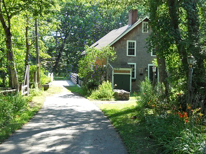 A quiet Newburyport lane where time moves slower and garden flowers seem to wave hello as you pass.