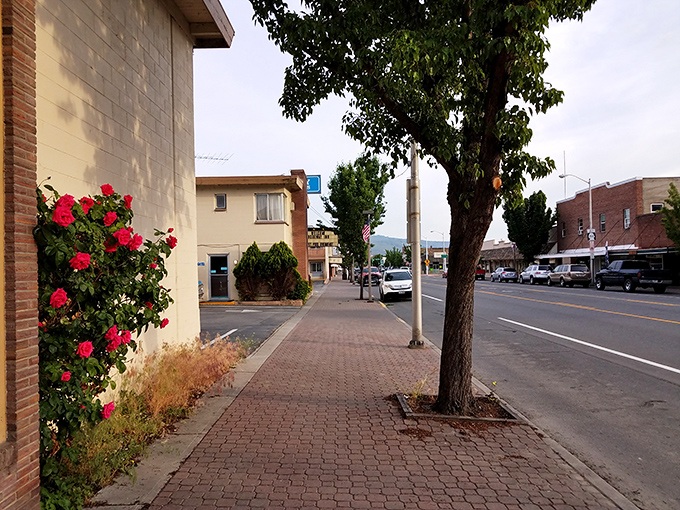 Small-town simplicity shines in Omak, where everyday conveniences and budget-friendly living go hand in hand.