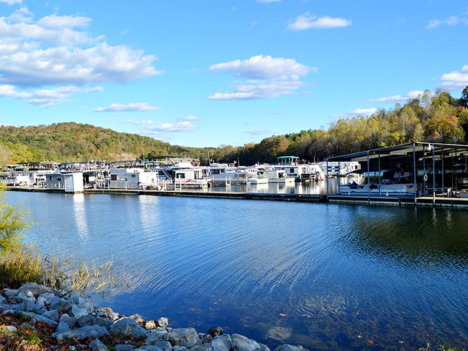 Kentucky's answer to Lake Como! Paintsville Lake nestles among green mountains like a sapphire in nature's jewelry box.