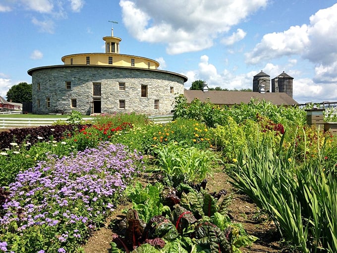 The Berkshire Museum anchors Pittsfield's cultural scene, giving retirees big-city amenities at small-town prices.