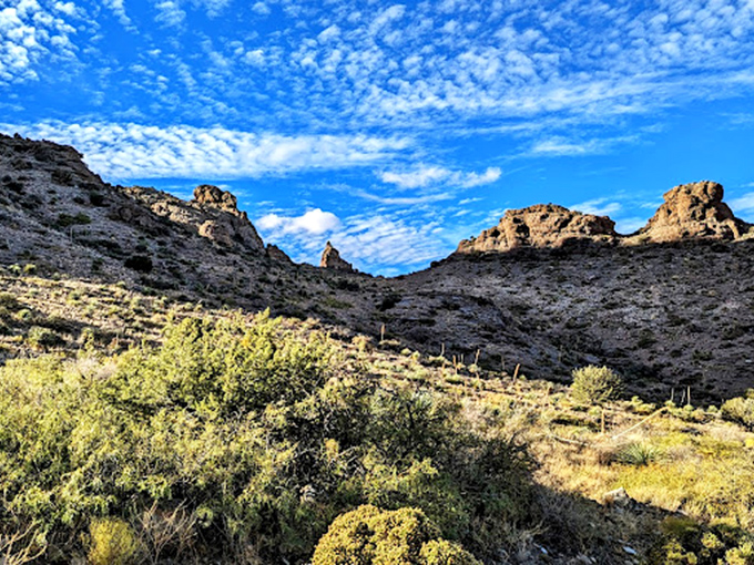 Nature's sculpture garden at Rockhound State Park, where even the rocks have personality.