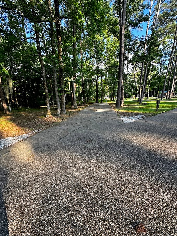 Roland Cooper State Park: Tree-lined roads so peaceful, you'll find yourself driving 5 mph under the speed limit just to extend the journey.