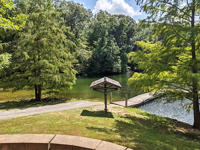 A lush green haven where trees frame the perfect lake view. Social media can wait &ndash; this demands to be enjoyed live.