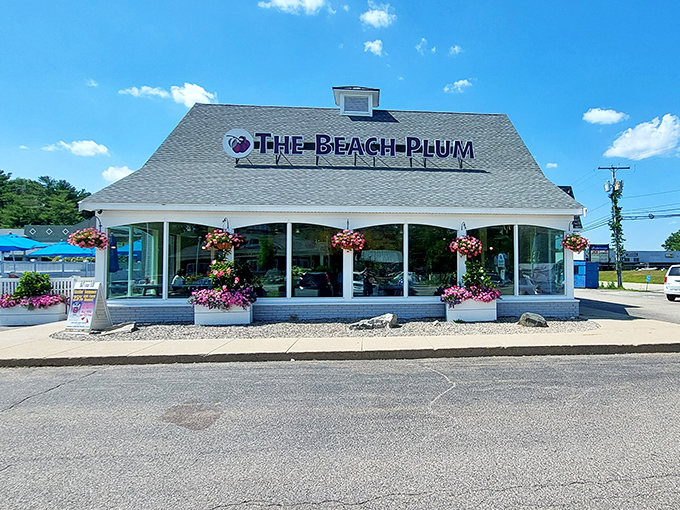 Sunshine bounces off The Beach Plum's pristine exterior &ndash; nature's spotlight on a true New Hampshire gem.