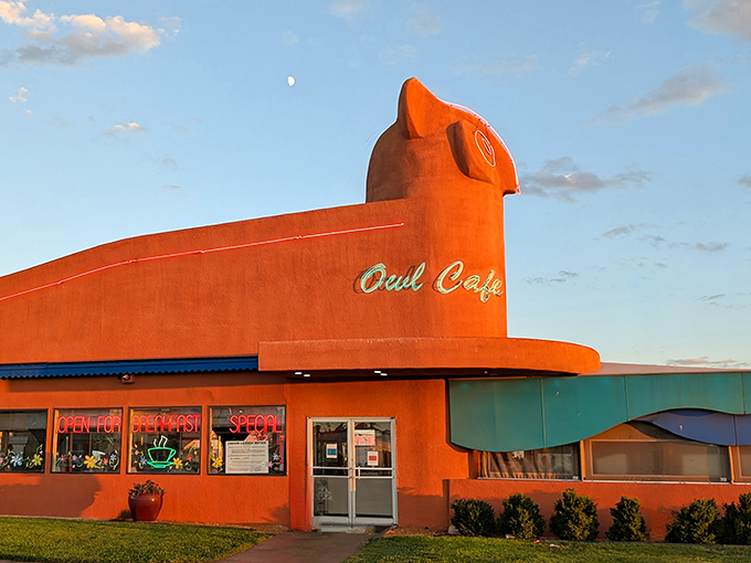 The Owl Cafe's quirky orange building is like something from a storybook - a very hungry storybook with excellent hash browns.