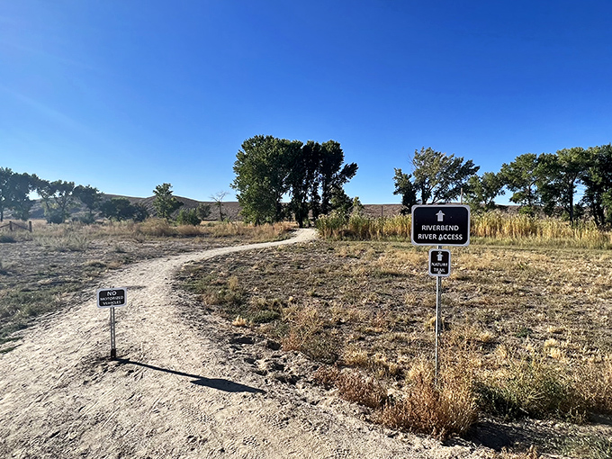 The East Walker River carves its path through the desert, a blue lifeline for wildlife and a playground for anglers seeking the perfect cast.