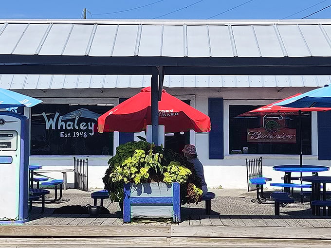 Colorful umbrellas and casual vibes&mdash;Whaley's is where beach days and seafood cravings find perfect harmony.