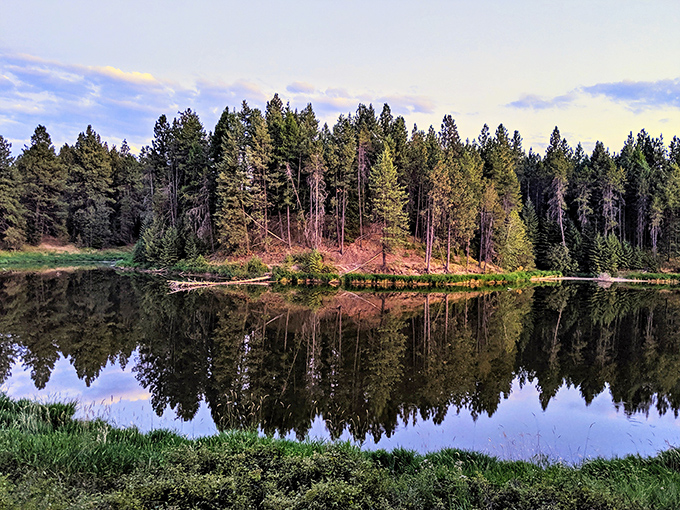 Dawn breaks over Winchester Lake, where the forest meets its twin in waters so still you could walk on the reflection.