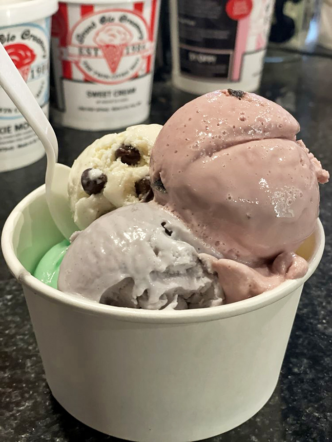 The sampler that ruins all future ice cream experiences. Five distinct personalities sharing one cup &ndash; it's like The Breakfast Club of desserts.