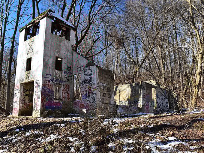Winter reveals what summer conceals. This abandoned outbuilding stands in stark relief against the bare trees, its graffiti a modern addition to historic ruins.
