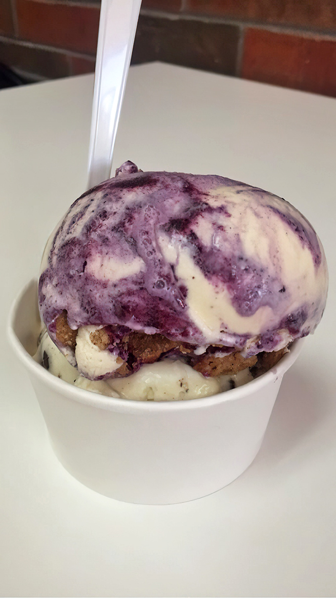 Swirls of purple and white create a galaxy of flavor in this blueberry creation. Like a nebula of sweetness captured in a humble paper cup. 